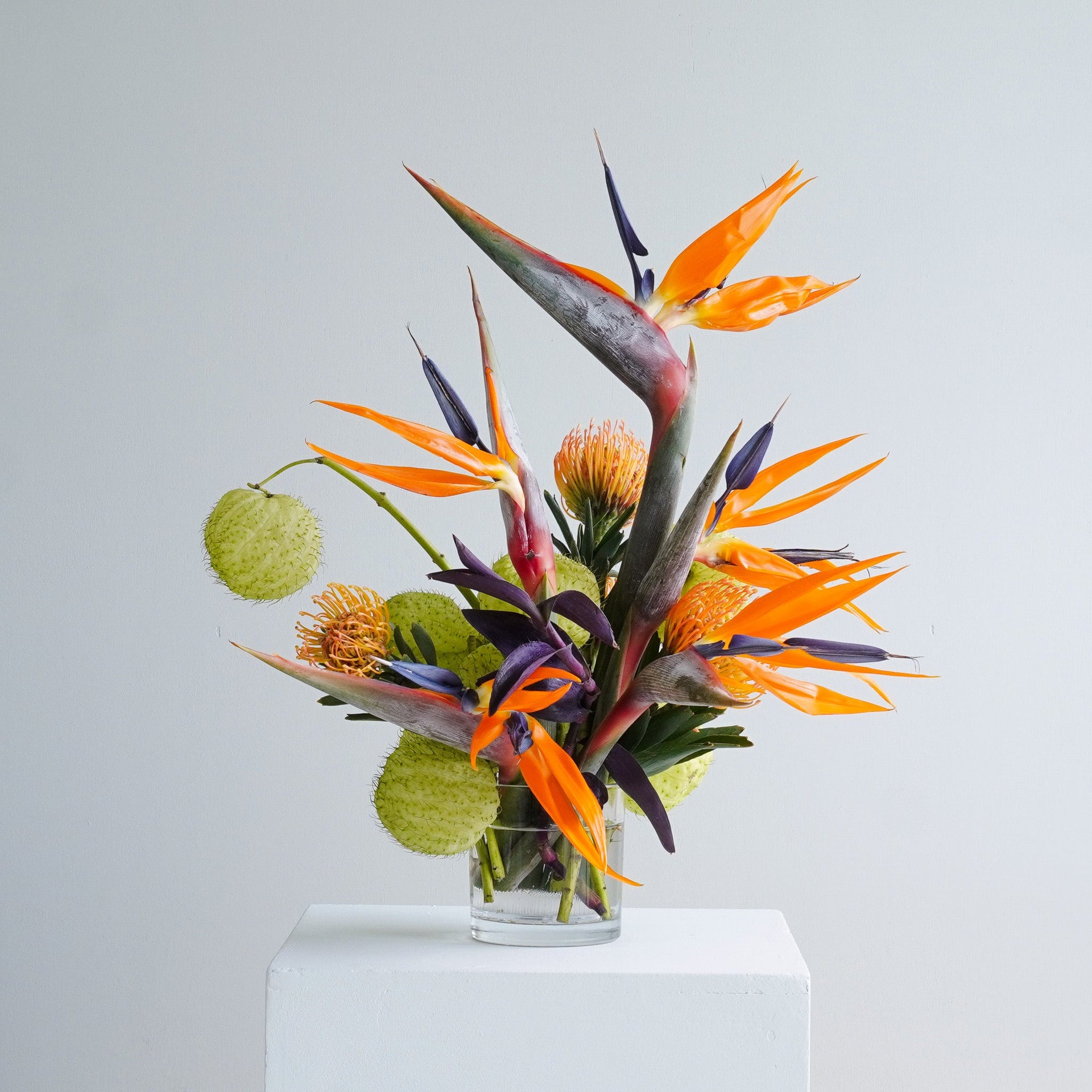 Wonderland Botanicals | A contemporary floral design studio
